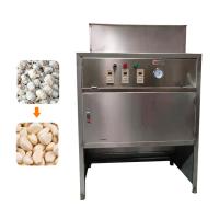 China garlic clove making machine peeling garlic in egypt for sale