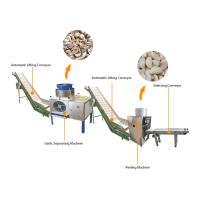 China fully automatic garlic peeling machine garlic peeler processing production line for sale