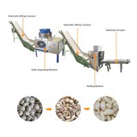 China fully automatic garlic peeling machine garlic peeler processing production line for sale