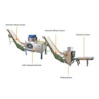 China fully automatic garlic peeling machine garlic peeler processing production line for sale