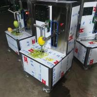 China watermelon peeler machine Pumpkin Pineapple Papaya Peeling Machine skin removing machines for sale