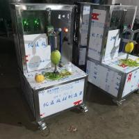 China Factory Automatic pineapple juice plant machines whole factory processing line in turnkey solution large scale for sale