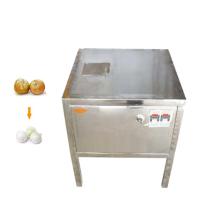 China Food Grade Garlic Skin Remove Peeler Processing Machine Potato Peeler With Brush With High Quality for sale