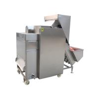 China Sus 304 Stainless Steel Commercial Onion Peeler Dezhou for sale
