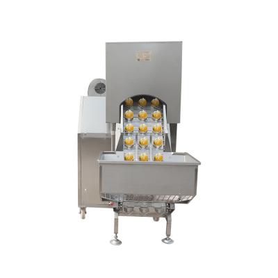 China Well Received Making Machine Peeling Onion Appliances for sale