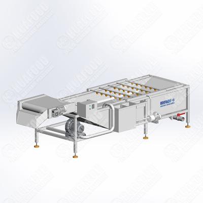 China Discounted Fruit And Vegetable Washing Machine Ce Approved for sale