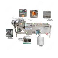 China High Safety Level Potato Washing Peeling Machine Iso for sale