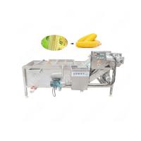 China High Safety Level Potato Washing Peeling Machine Iso for sale