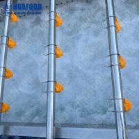 China High Safety Level Potato Washing Peeling Machine Iso for sale