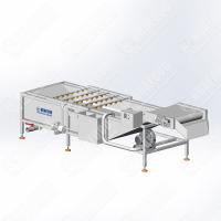 China 2022 Best Selling Fruit And Vegetable Washing Machine Guangdong Foshan for sale