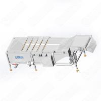 China Factory Food Industry T Washing Vegetable Washer Machine Dezhou for sale