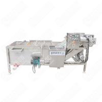China High Quality Carrot Potato Washing And Peeling Machine Portable for sale