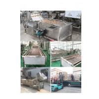 China Professional 500-800 Kg/H Potato Peeling And Washing Machine Small Capacity for sale