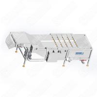 China Long Service Life Fruit And Vegetable Air Bubble Cleaner 2500Kg/Hr Foshan for sale