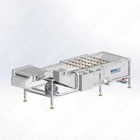 China Long Service Life Fruit And Vegetable Air Bubble Cleaner 2500Kg/Hr Foshan for sale