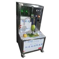 China Professional Price Fruit Washing Production Line Washing Drying Line Fruit And Vegetable Bubble Washer for sale