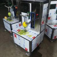 China Low Price Pumpkin Peeling Machine Fruit Peeling And Juicing Machines With Great Price for sale