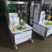 China Hot Sale Manual Fruit Peeling Machine Household Fruit And Vegetable Peeling Machine With High Quality for sale