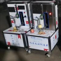 China Low Cost Mango Skin Removing Peeling Machine Cucumber melon Peeler Machine Vegetable Peeler For Wholesales for sale