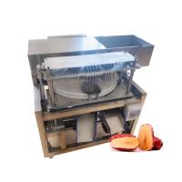 China long service life litchi peeling and pitting machine for sale