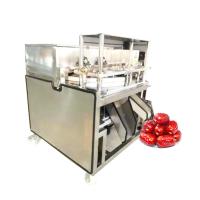 China long service life litchi peeling and pitting machine for sale