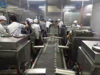 China Industrial Automatic Fryer Machine Potato Chips French Fries Machine for sale