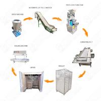China Factory Industrial Spaghetti Making Machine Pasta production line machines pasta making machine for sale