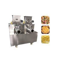 China Strong Motor Dry Italy Noodle Spaghetti Production Extruder And Corn Pasta Manufacturing Machine Line For Making Fresh Macaroni for sale