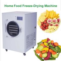 China Small Home Grain Corn Bean Mushroom Fruits Lyophilizer Vacuum Freeze Drying Machine Home Freeze Dryer for sale