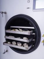 China Small Home Grain Corn Bean Mushroom Fruits Lyophilizer Vacuum Freeze Drying Machine Home Freeze Dryer for sale