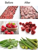 China freeze dryer south africa cheap freeze dryer vacuum freeze dryer fruit vegetable processing for sale