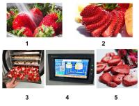China 20KG Industrial Production High Efficiency Vacuum Freeze Dryer for Food Fruit for sale