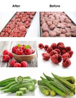 China Self Service Good Quality Food Fruit Vegetable Home Freeze Dryer Lyophilizer Ce Certificate for sale