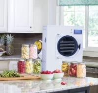 China Hand Best Price Small Freeze Dryer Home Supermarket for sale