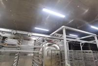 China New Style Automatic Farm Dry Sea Food Freeze Dryer Machine for sale