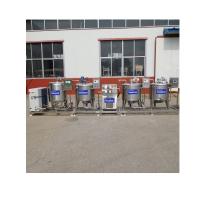 China white cheese making dairy equipment production line for sale