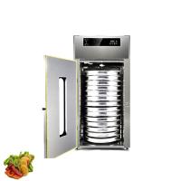 China Wenzhou Industrial Food Dryer/Food Vacuum Dehydrator for sale