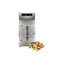 China Best Solar Dryer For Fruits And Vegetables Air Dryer Food Dehydrator Machine for sale