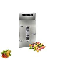 China 8 Trays large Food Dehydrator Pet Snacks Dehydration Dryer Fruit Vegetable Herb Meat Drying Machine Stainless Steel 220v for sale