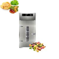 China good quality commercial dehydrator fruit and vegetables solar dryer for fruits and vegetables for sale