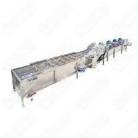 China Best Price Automatic Bubble Potato Washing And Drying Machine Vegetable Washer And Dryer for sale