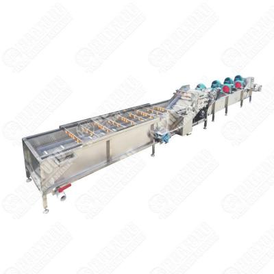 China Best Price Automatic Bubble Potato Washing And Drying Machine Vegetable Washer And Dryer for sale