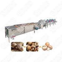 China Best Price Automatic Bubble Potato Washing And Drying Machine Vegetable Washer And Dryer for sale