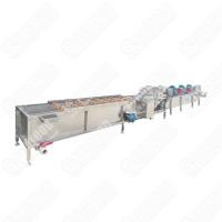 China Best Price Automatic Bubble Potato Washing And Drying Machine Vegetable Washer And Dryer for sale