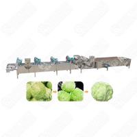 China Multifunctional Ozone Cleaner Fruit And Vegetable Bubble Washing Machine for sale