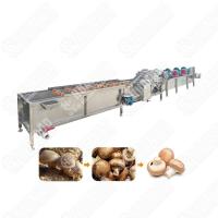 China Multifunctional Ozone Cleaner Fruit And Vegetable Bubble Washing Machine for sale