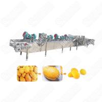 China Multifunctional Ozone Cleaner Fruit And Vegetable Bubble Washing Machine for sale