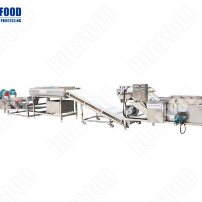 China Automatic fruit and vegetable washing machine auto fruits vegetables herbs bubble cleaning line machines cheap price for sale for sale