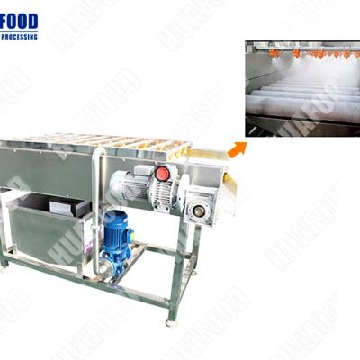 China QX-400 Commercial Industrial Bubble Fruit Avocado Mango Vegetable Potato Washing Machine/Frozen Vegetable Production Line for sale