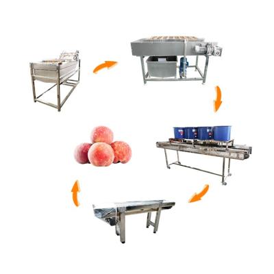 China automatic vegetable and fruit yellow peach orange strawberry canning washing machine for sale